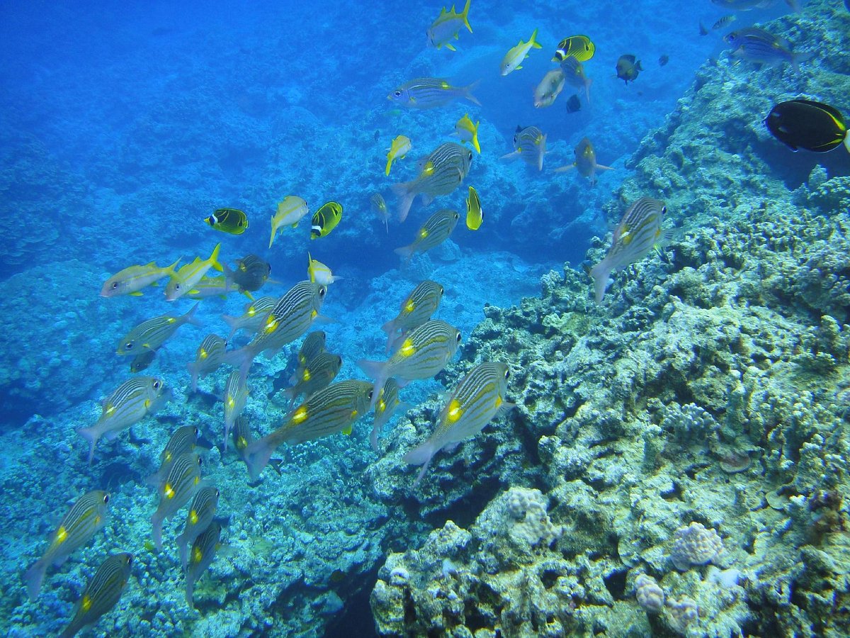 The Amazing Charms Of Rota - Explore Guam Events